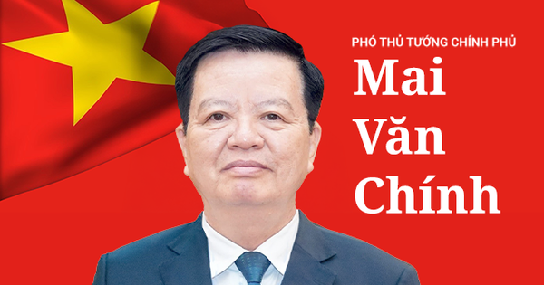 TÓM TẮT TIỂU SỬ ĐỒNG CHÍ MAI VĂN CHÍNH, TÂN PHÓ THỦ TƯỚNG CHÍNH PHỦ