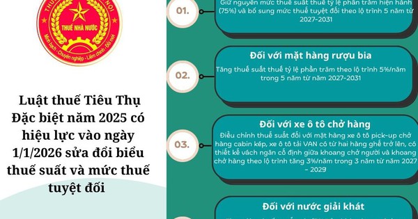 Biểu Thuế tiêu thụ đặc biệt theo Luật số 66/2025/QH155 áp dụng từ 01/01 ...